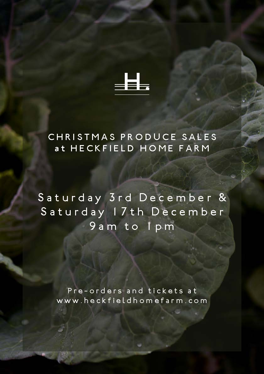 Christmas at Heckfield Home Farm