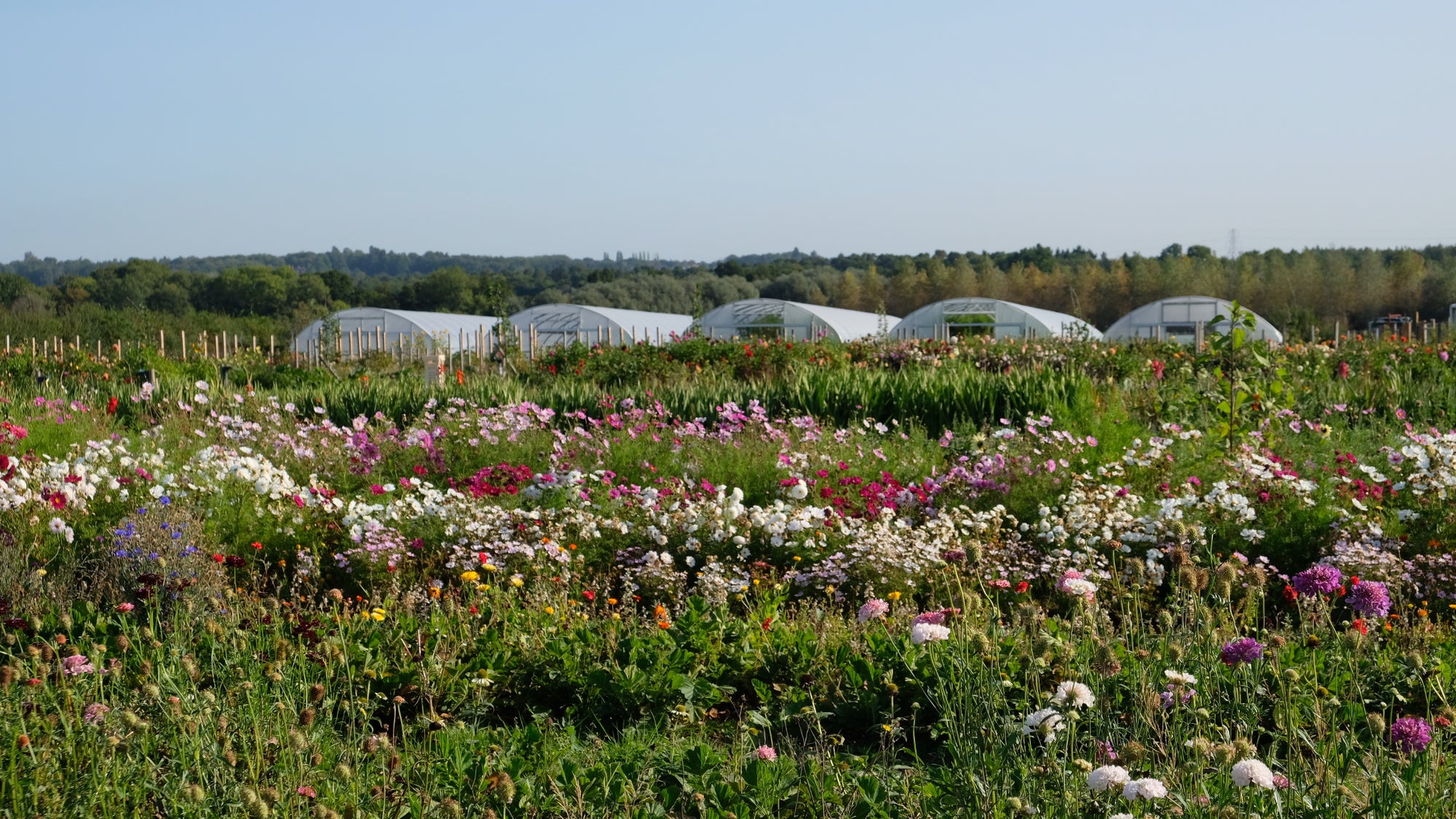 MARKET GARDEN – Heckfield Home Farm